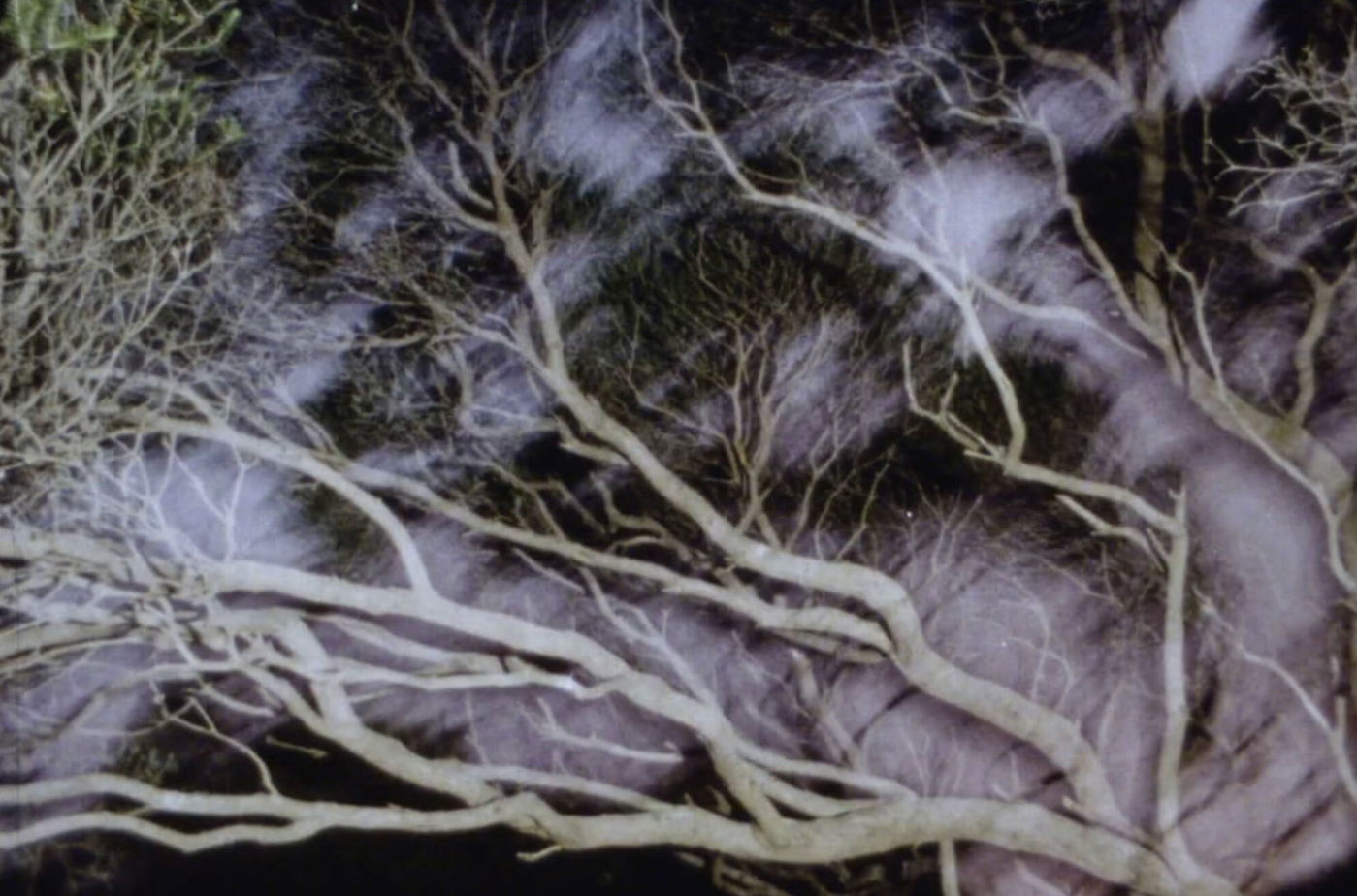 Land Mass – Cinemateket