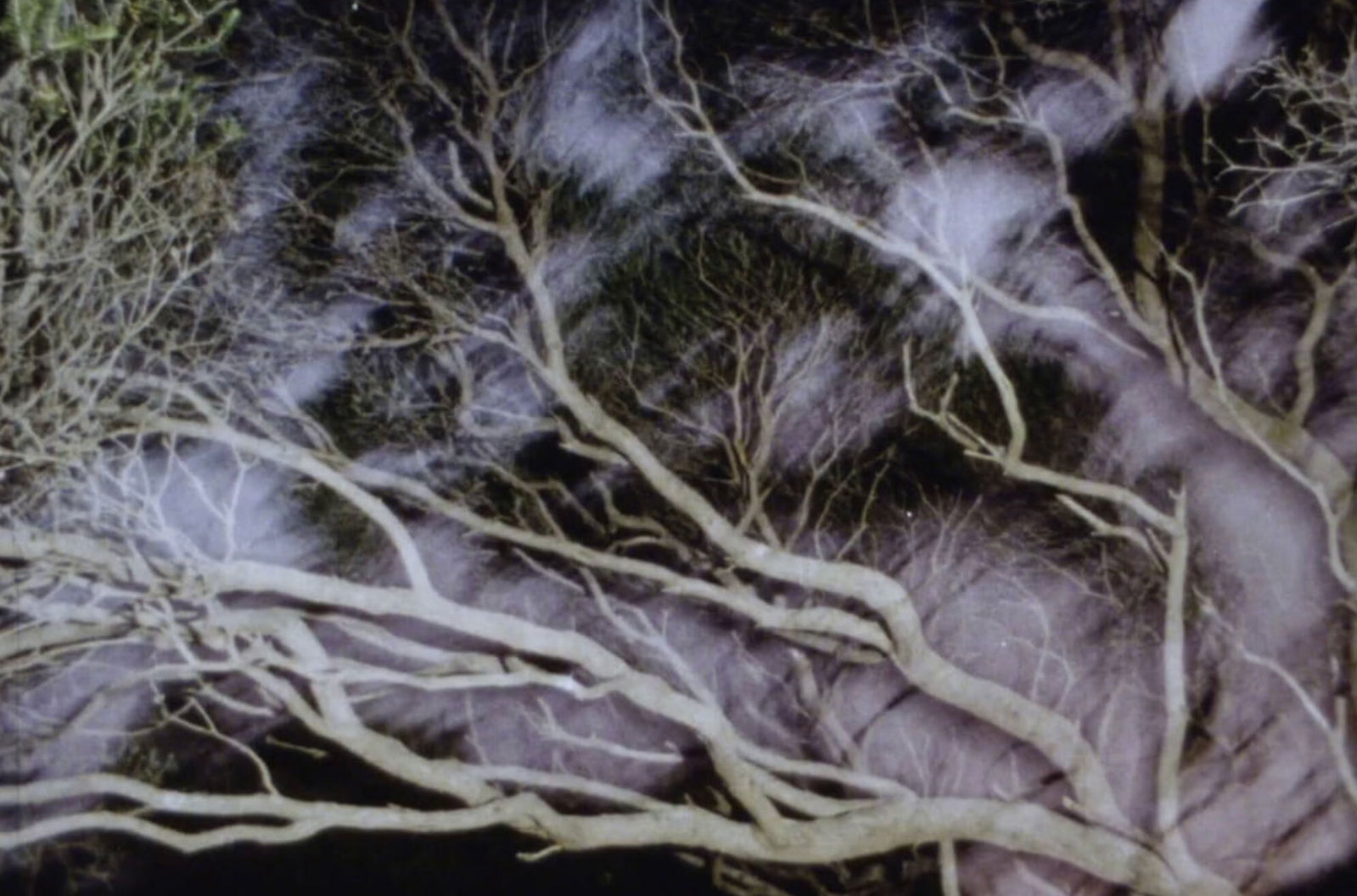 Land Mass – Cinemateket