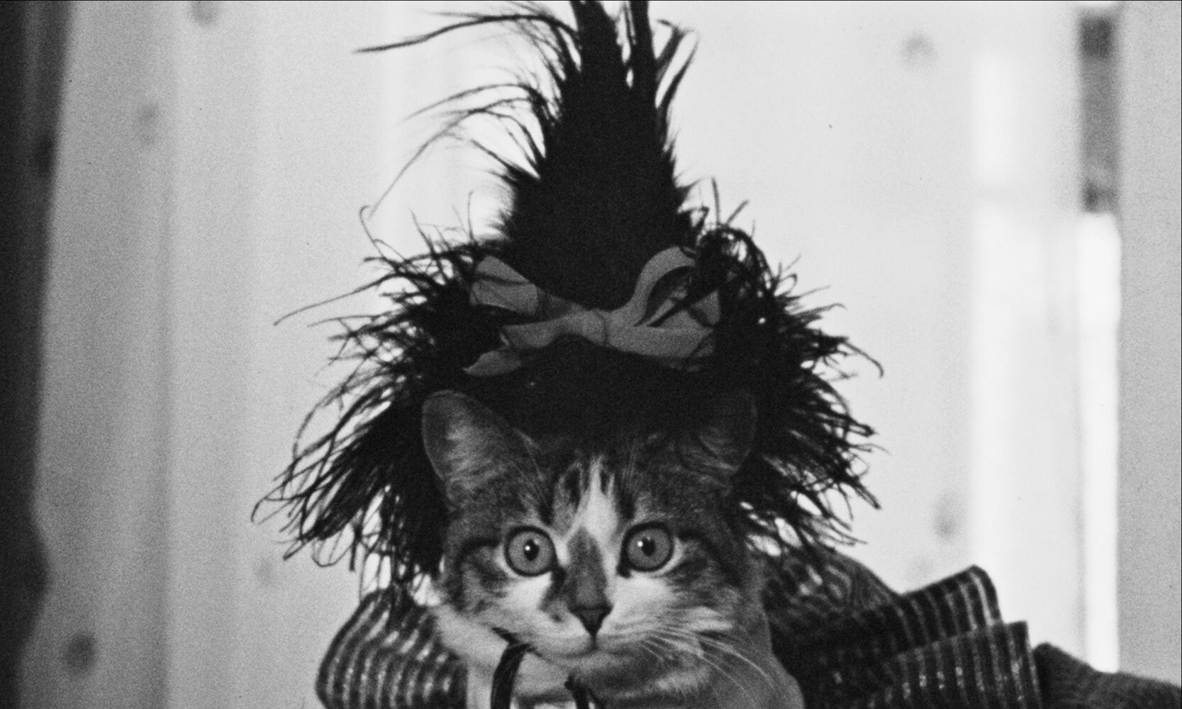 Chris Marker – Cinemateket