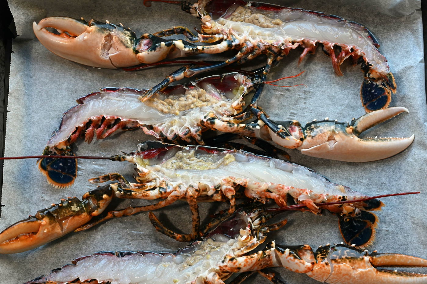 Ovnsbakt hummer med kryddersmør - Enkelt og perfekt! | Gladkokken