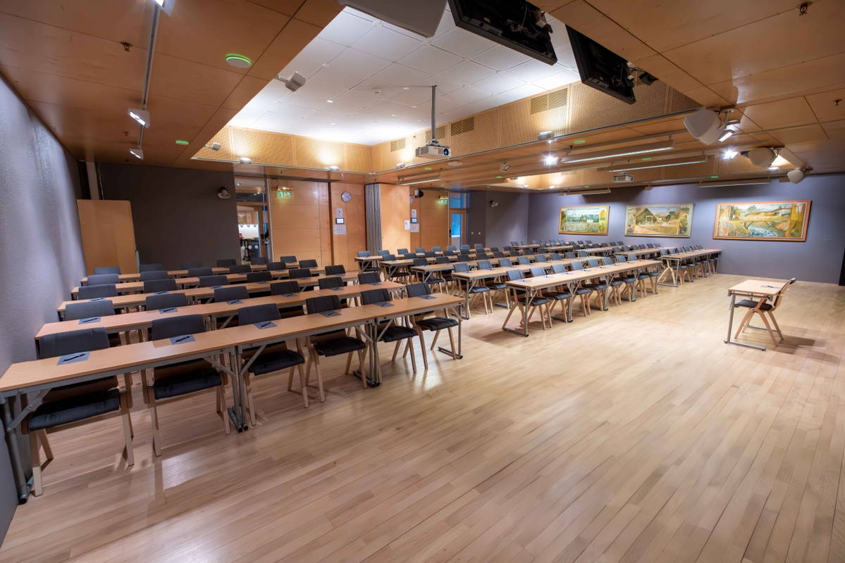 Christianus Sextus – flexible meeting room for 120 guests – Røros Hotell